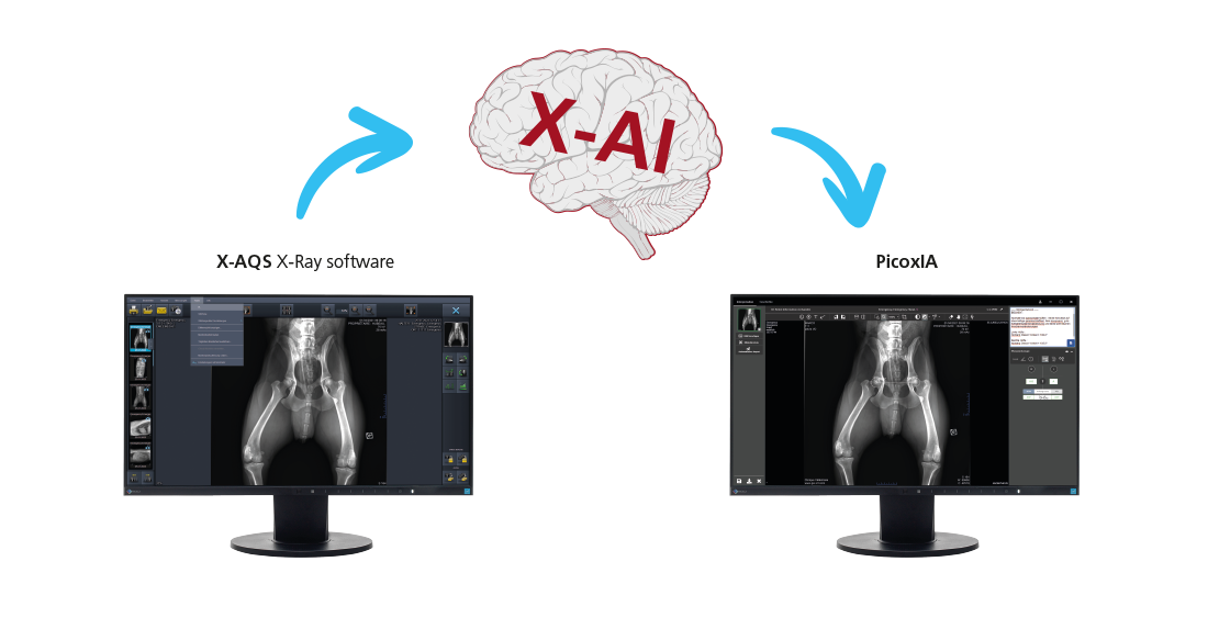 X-AQS – X-ray Software ꟾ Veterinary Medicine